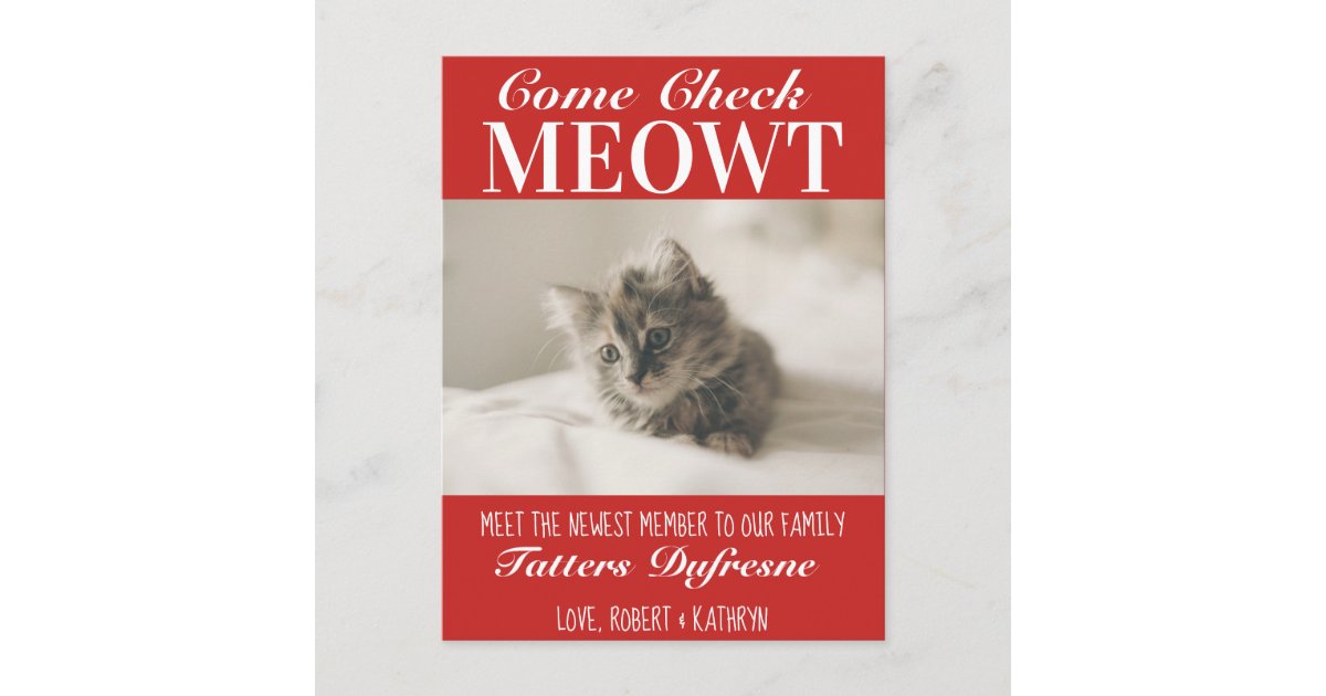"Check Meowt" New Cat Announcement Postcard | Zazzle