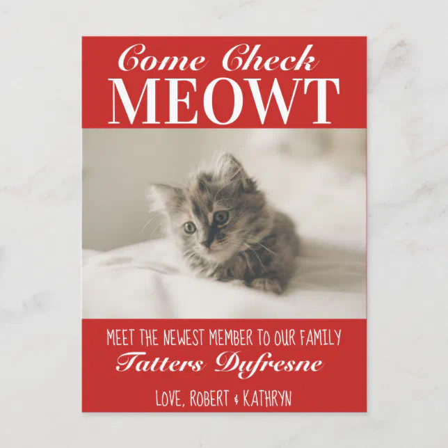 "Check Meowt" New Cat Announcement Postcard | Zazzle