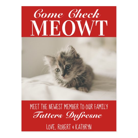 "Check Meowt" New Cat Announcement Postcard | Zazzle.com