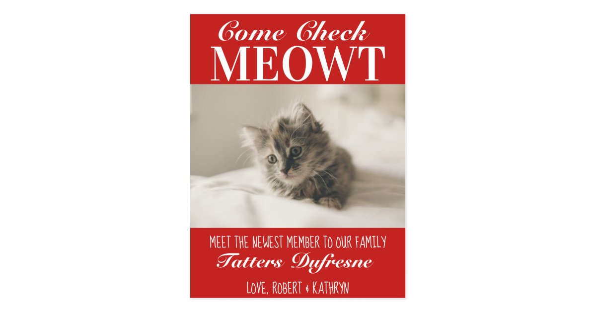 "Check Meowt" New Cat Announcement Postcard | Zazzle.com