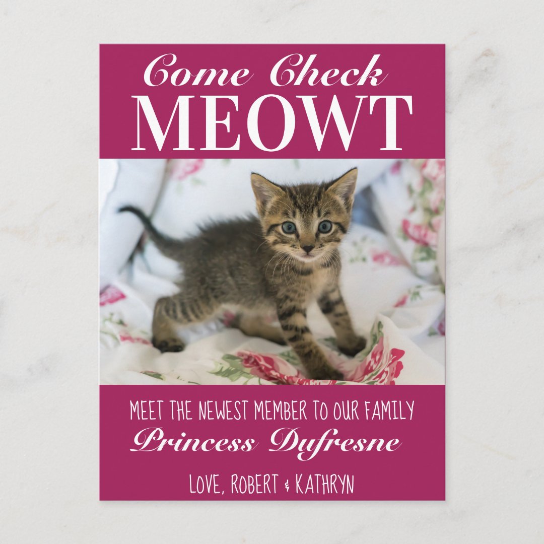 "Check Meowt" New Cat Announcement Purple Postcard | Zazzle