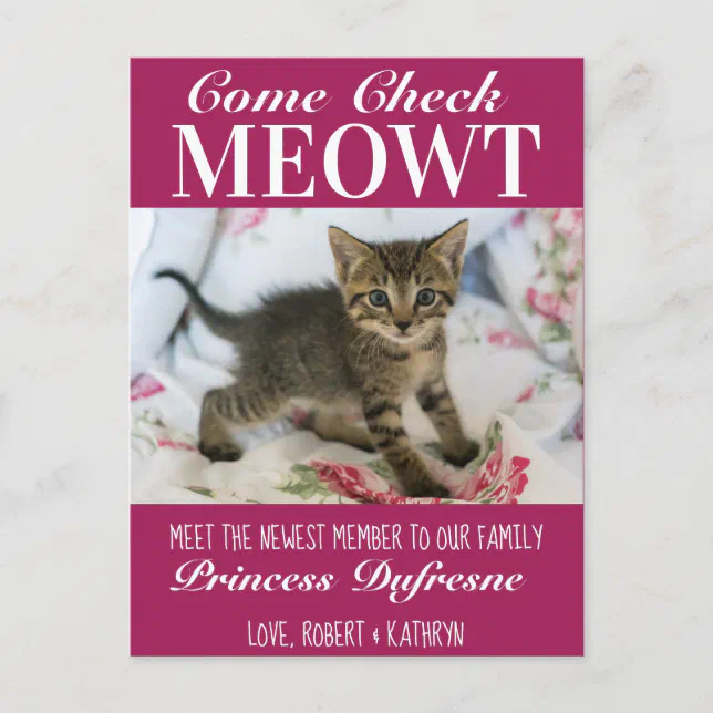 "Check Meowt" New Cat Announcement Purple Postcard | Zazzle
