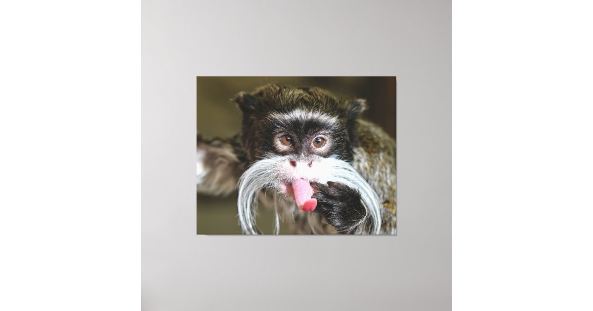 Cheeky Emperor Tamarin Monkey Canvas Print | Zazzle
