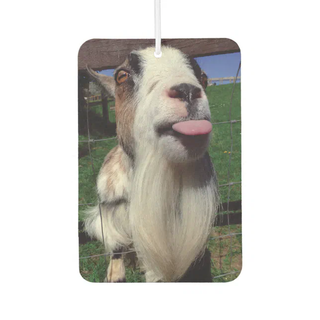 Cheeky Goat Air Freshener | Zazzle