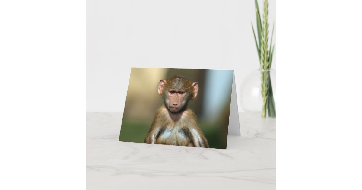 Cheeky Monkey - Cute Baby Baboon Card | Zazzle