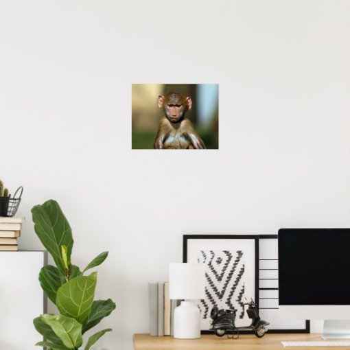 Cheeky Monkey - Cute Baby Baboon Poster / Print | Zazzle