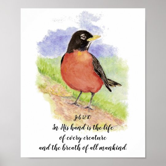 Cheerful American Robin Watercolor Bible Scripture Poster | Zazzle.com