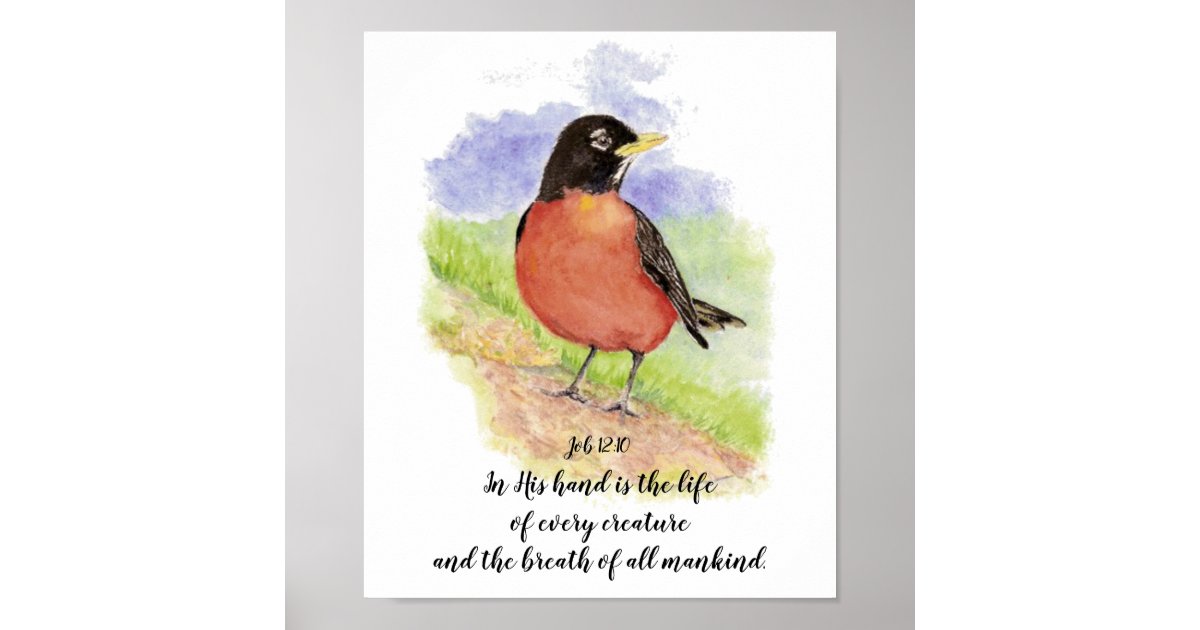 Cheerful American Robin Watercolor Bible Scripture Poster | Zazzle