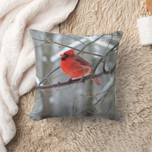 Cheery Red Cardinal Pillow | Zazzle