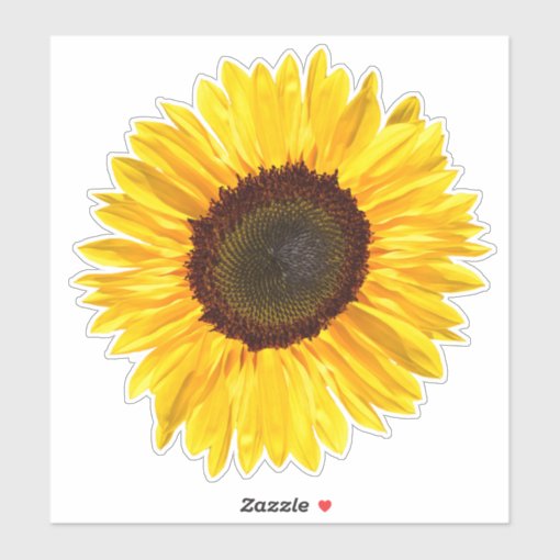 Cheery Yellow Sunflower Sticker | Zazzle