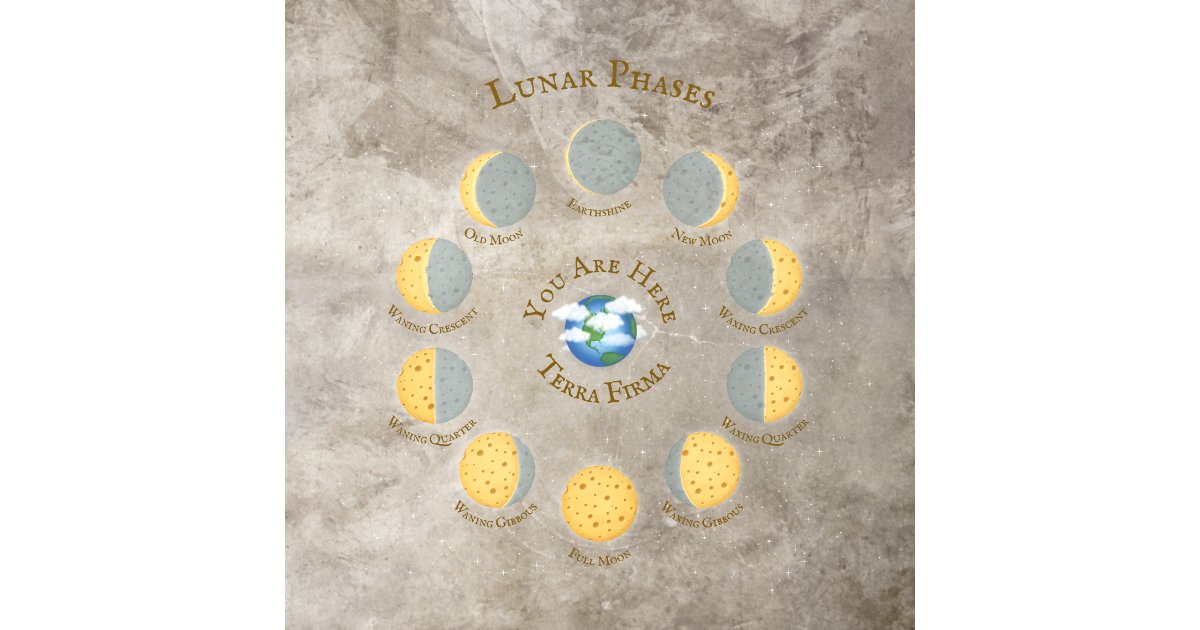 Cheese Moon Whimsical Lunar Phases Chart Astronomy Floor Decals | Zazzle