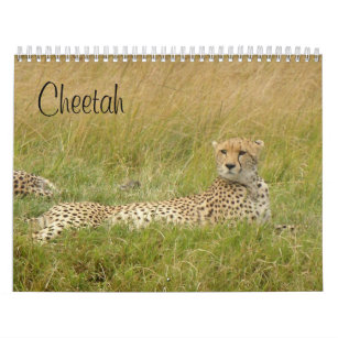Cheetah Calendars | Zazzle