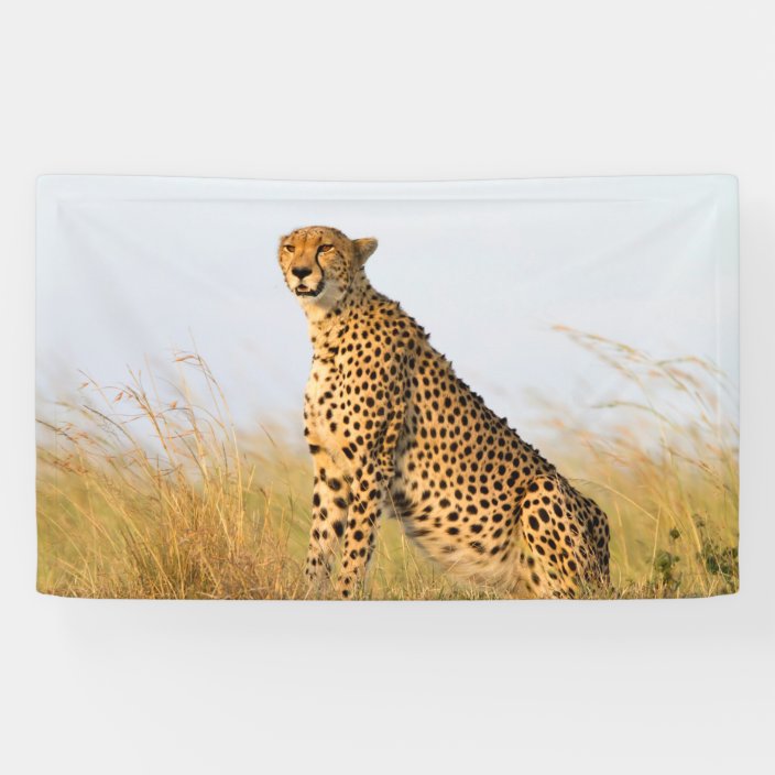 Cheetah Banner | Zazzle.com