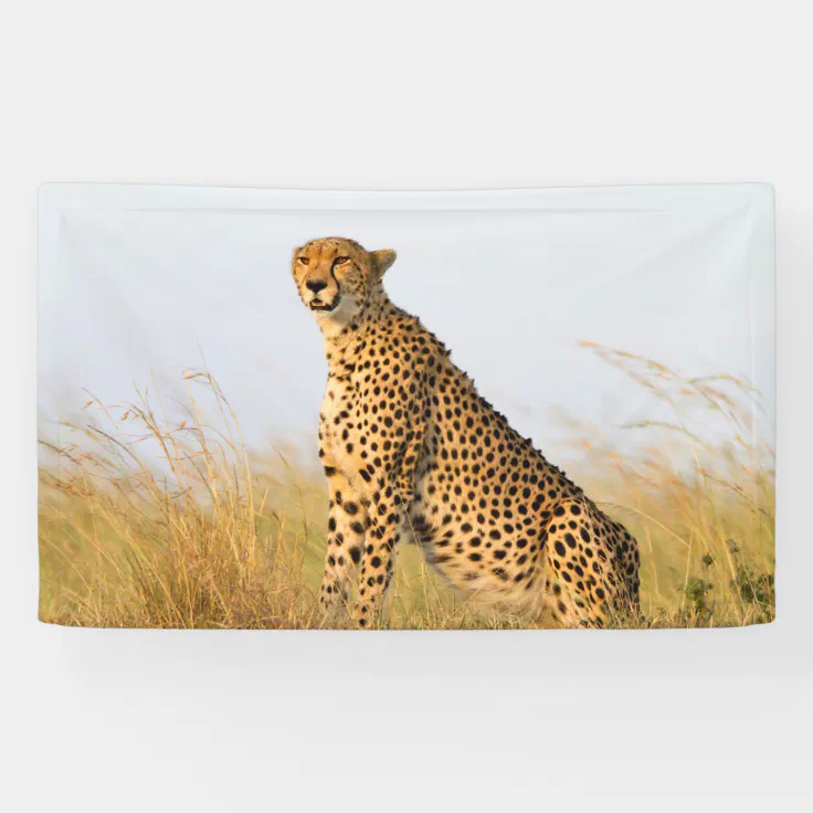 Cheetah Banner | Zazzle