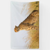 Cheetah Banner | Zazzle