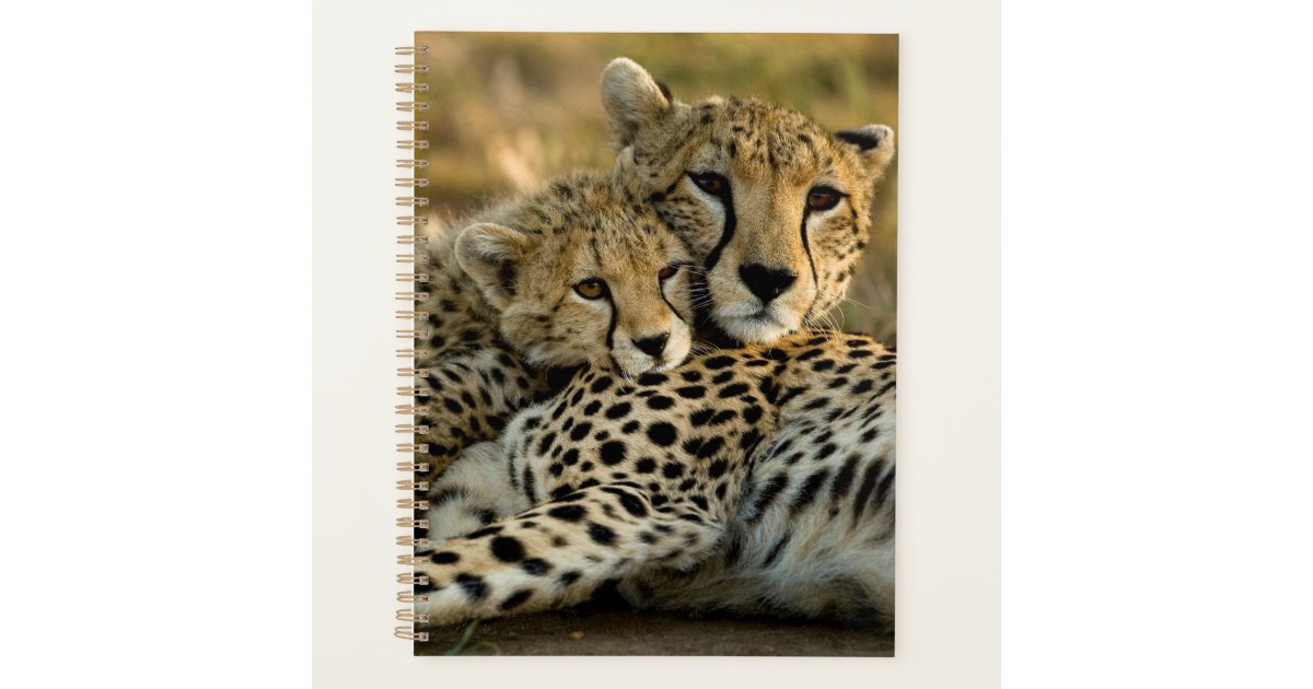 Cheetah Cub Snuggling with its Mom Planner | Zazzle