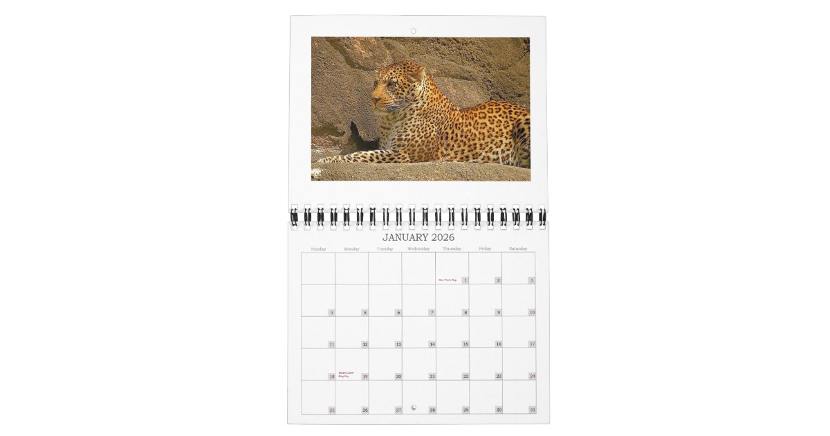 cheetah-cubs, NORPHLET, LEOPARDS Calendar | Zazzle