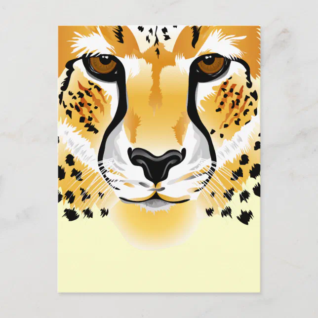 cheetah head close-up illustration postcard | Zazzle