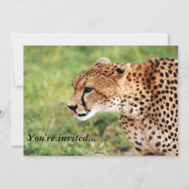 Cheetah Invitation Card | Zazzle