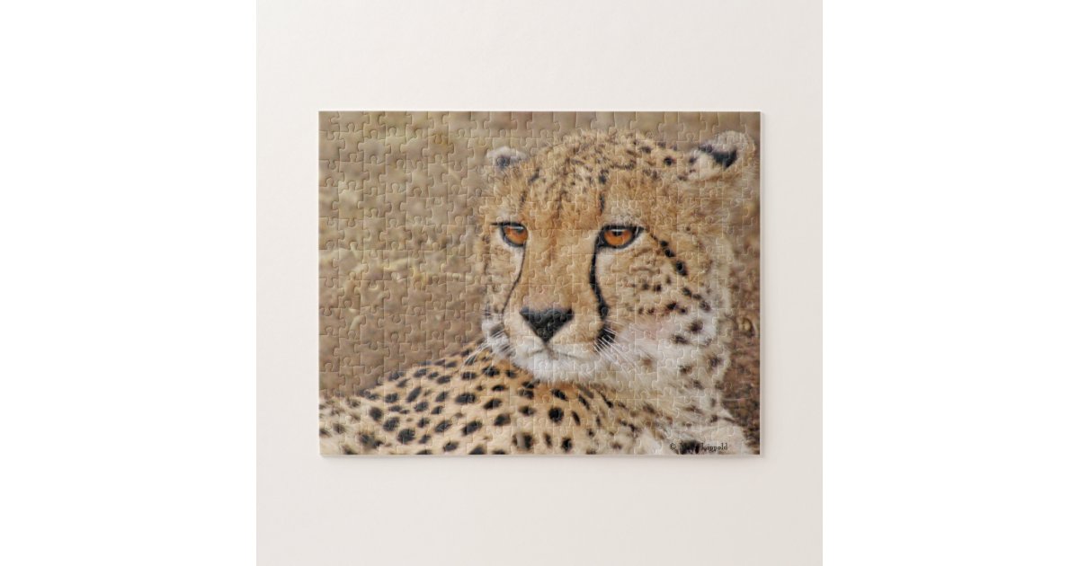 Cheetah jigsaw puzzle | Zazzle