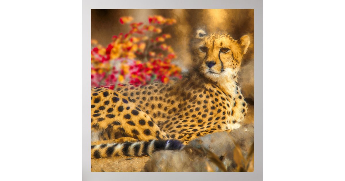 CHEETAH JUST CHILLIN POSTER | Zazzle