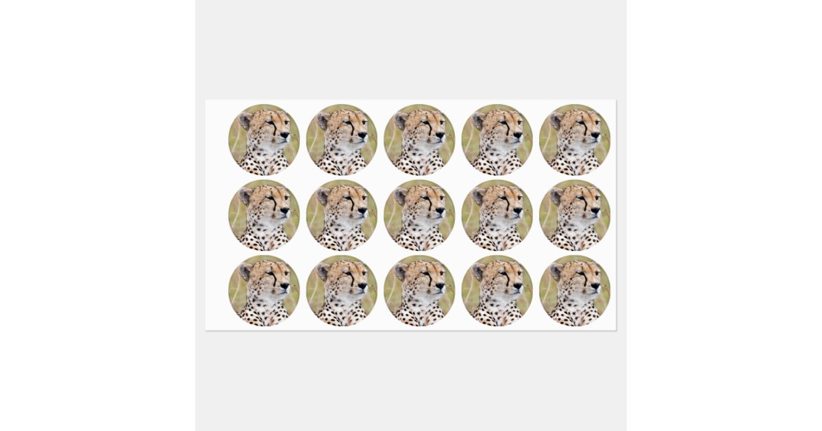 Cheetah Labels | Zazzle