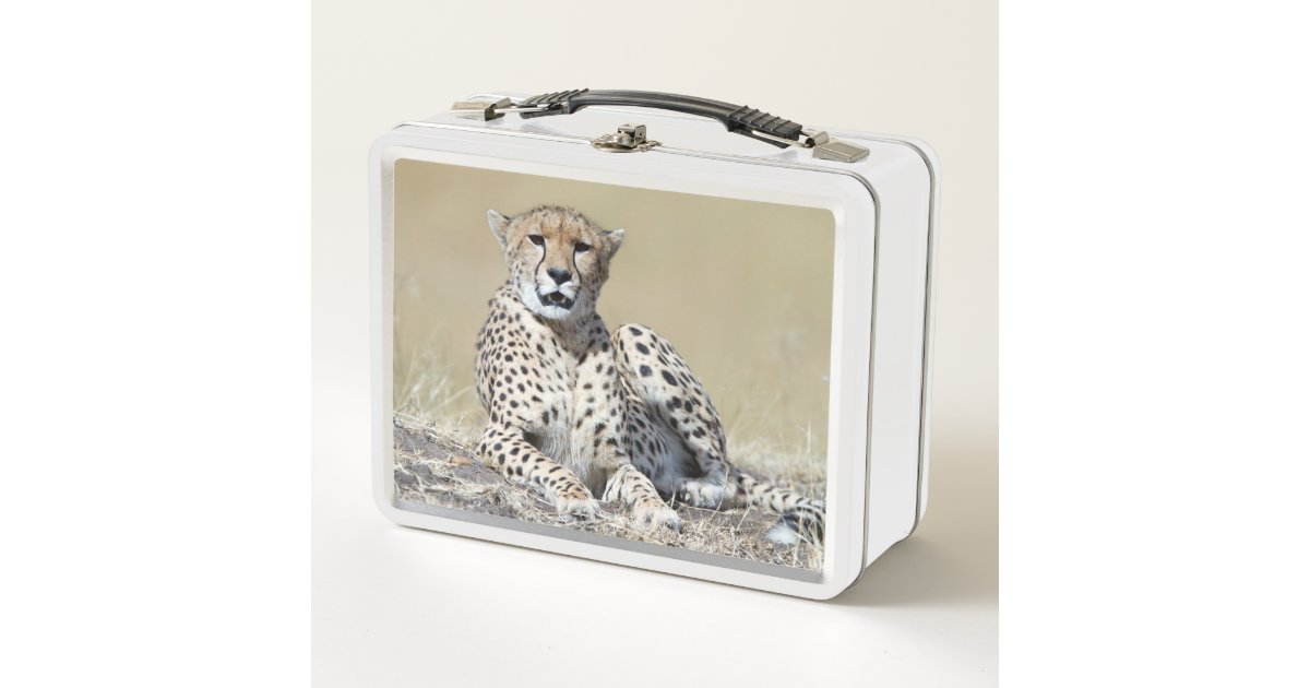 Cheetah Metal Lunch Box | Zazzle