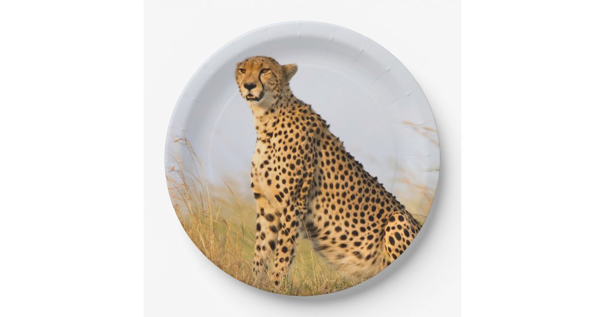 Cheetah Paper Plates | Zazzle