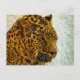 Cheetah Postcard | Zazzle