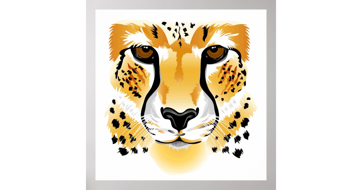 Cheetah poster | Zazzle