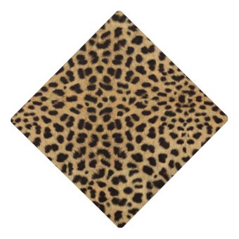 Cheetah Print Graduation Cap Topper | Zazzle