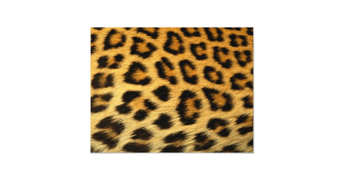 Blank Cheetah Invitation Templates
