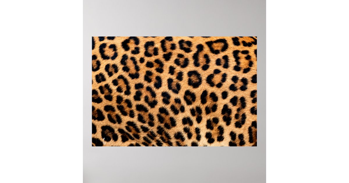 Cheetah print texture | Zazzle