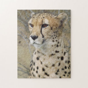Cheetah Jigsaw Puzzles | Zazzle