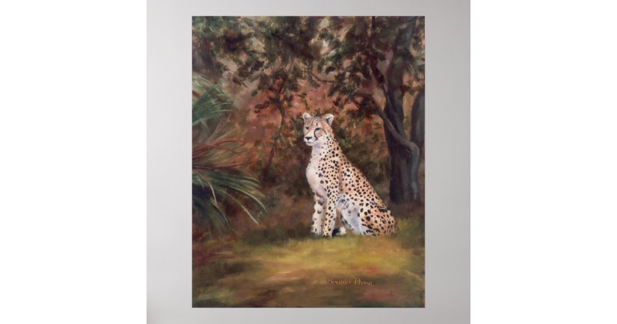 Cheetah Sitting Proud Poster/Print Poster | Zazzle
