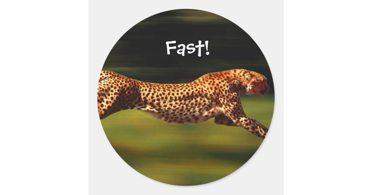 Cheetah Stickers | Zazzle