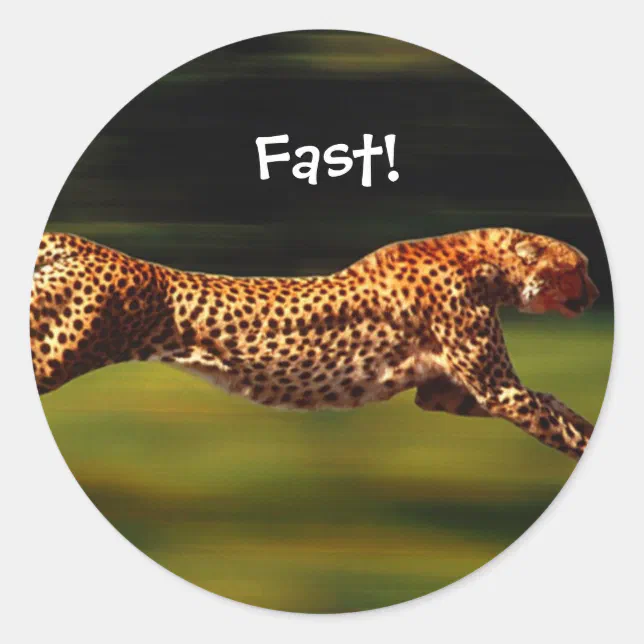 Cheetah Stickers | Zazzle