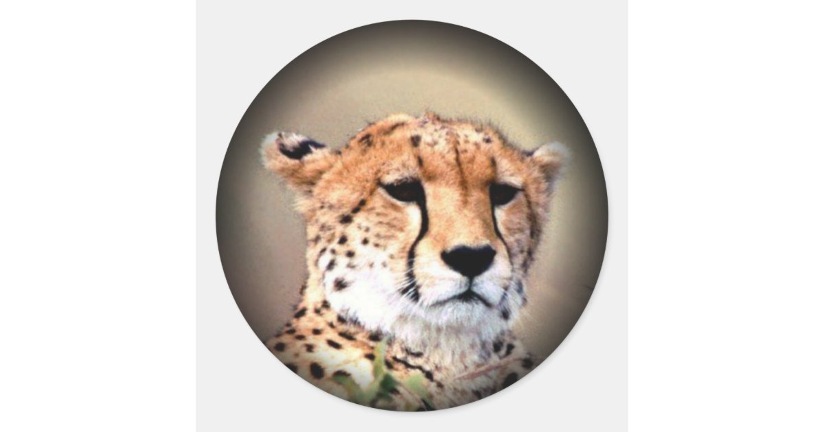 Cheetah Tear Marks Art Print Classic Round Sticker | Zazzle