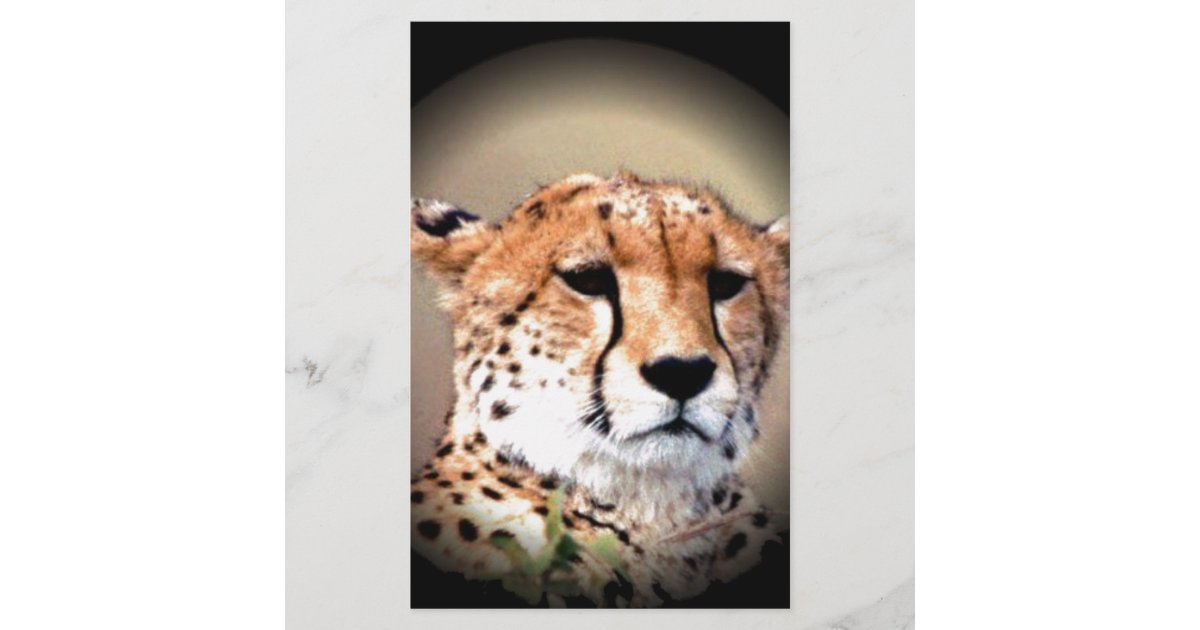 Cheetah Tear Marks Hakunamatata Stationery | Zazzle