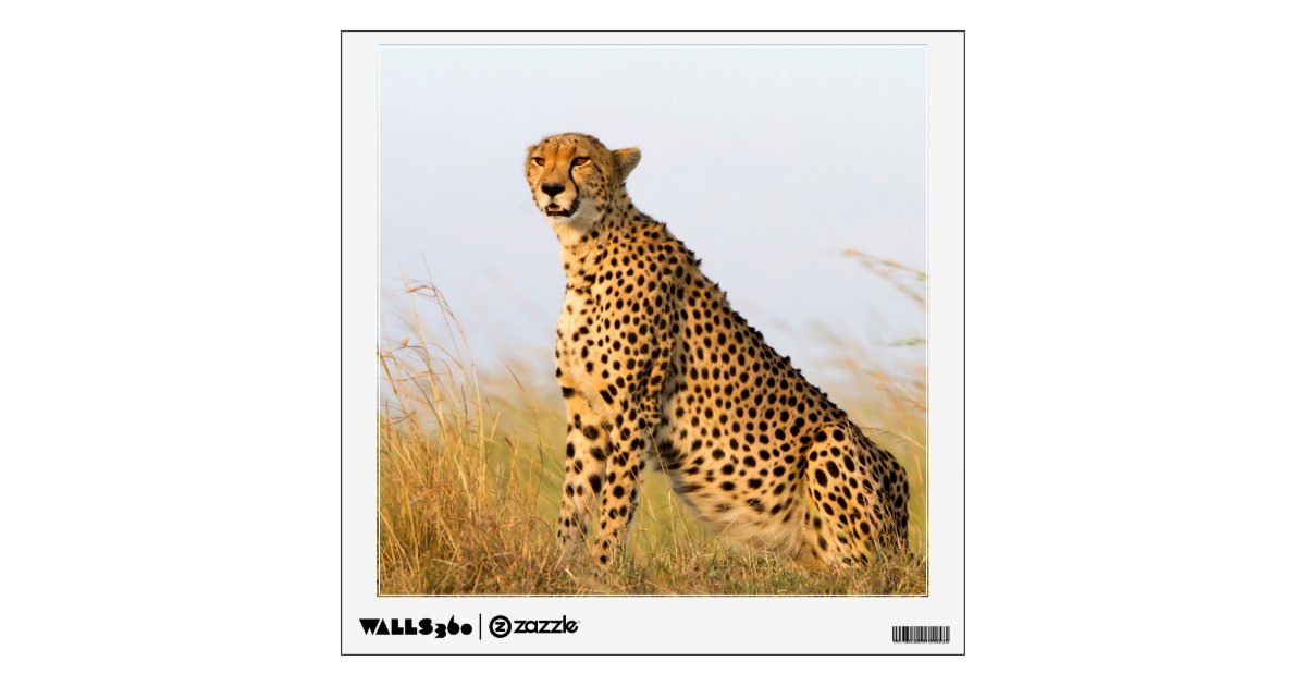 Cheetah Wall Decal | Zazzle