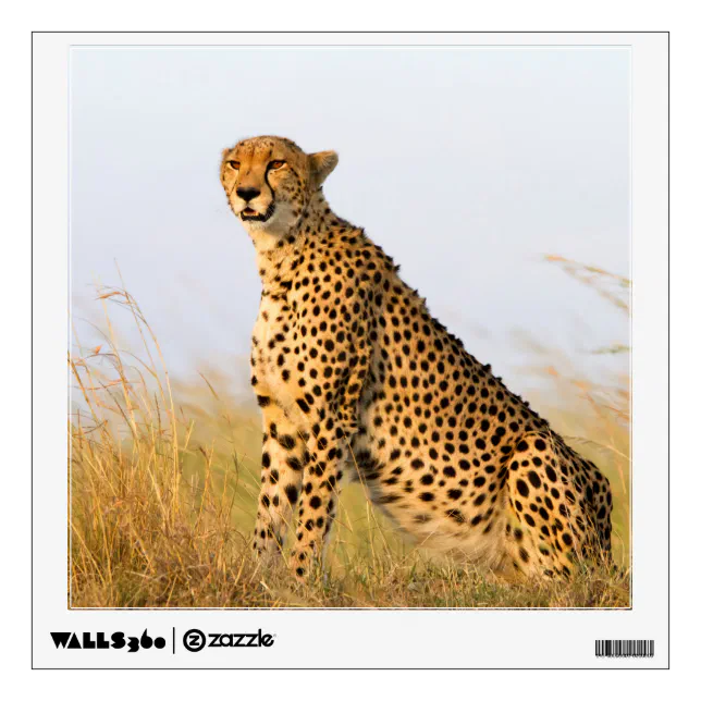 Cheetah Wall Decal | Zazzle