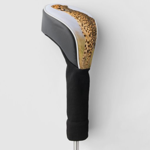 Cheetah wild animal Big Cat photo Golf Head Cover | Zazzle
