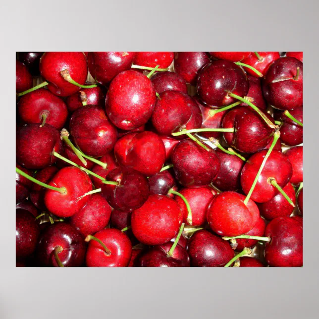 Cherries Poster | Zazzle