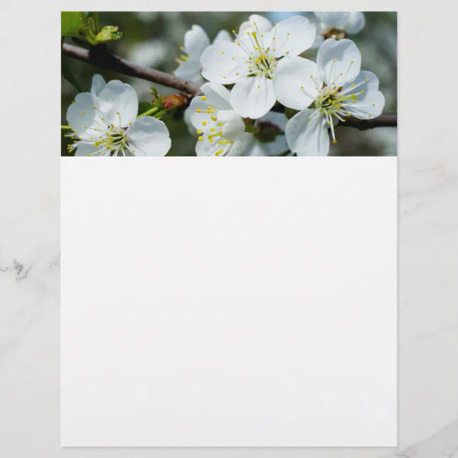 Cherry bloom flyer | Zazzle