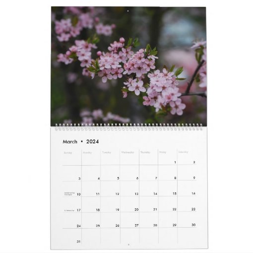 Cherry Blossom Calendar | Zazzle