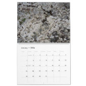 Cherry Blossom Calendar | Zazzle