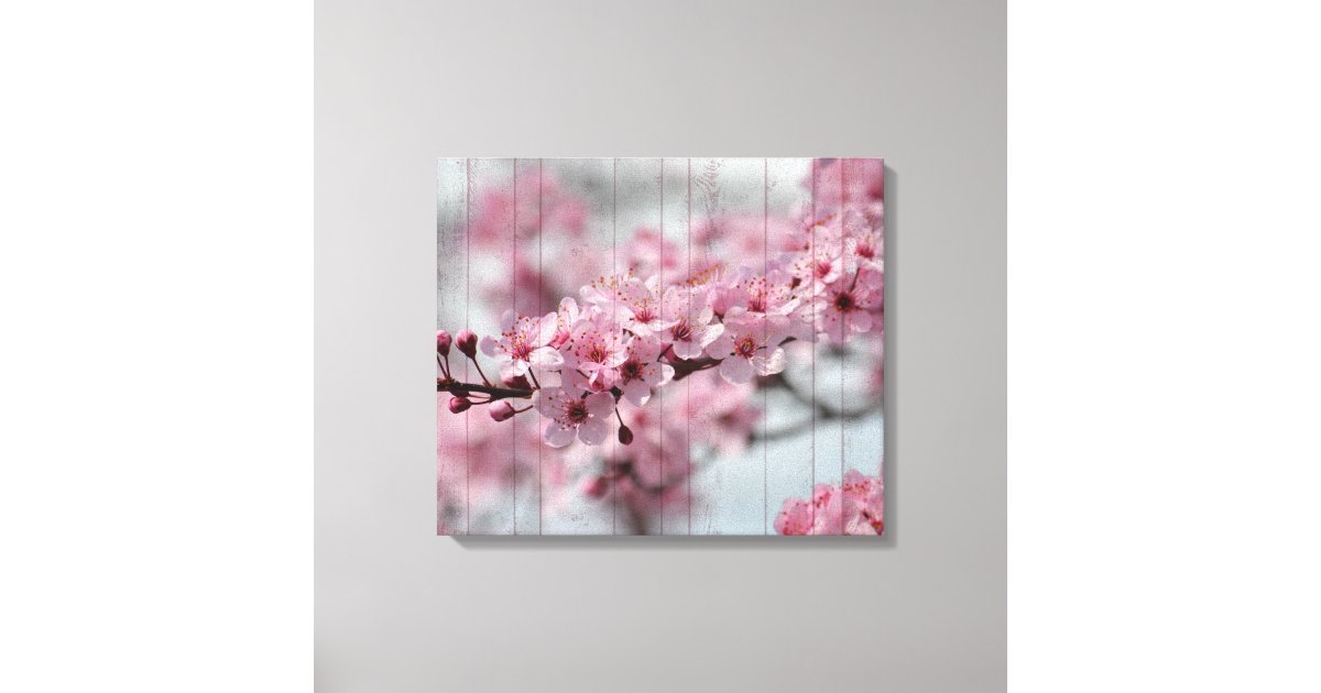 Cherry Blossom Canvas Print | Zazzle