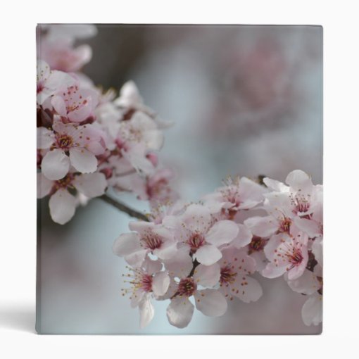 Cherry Blossom Floral Binder | Zazzle