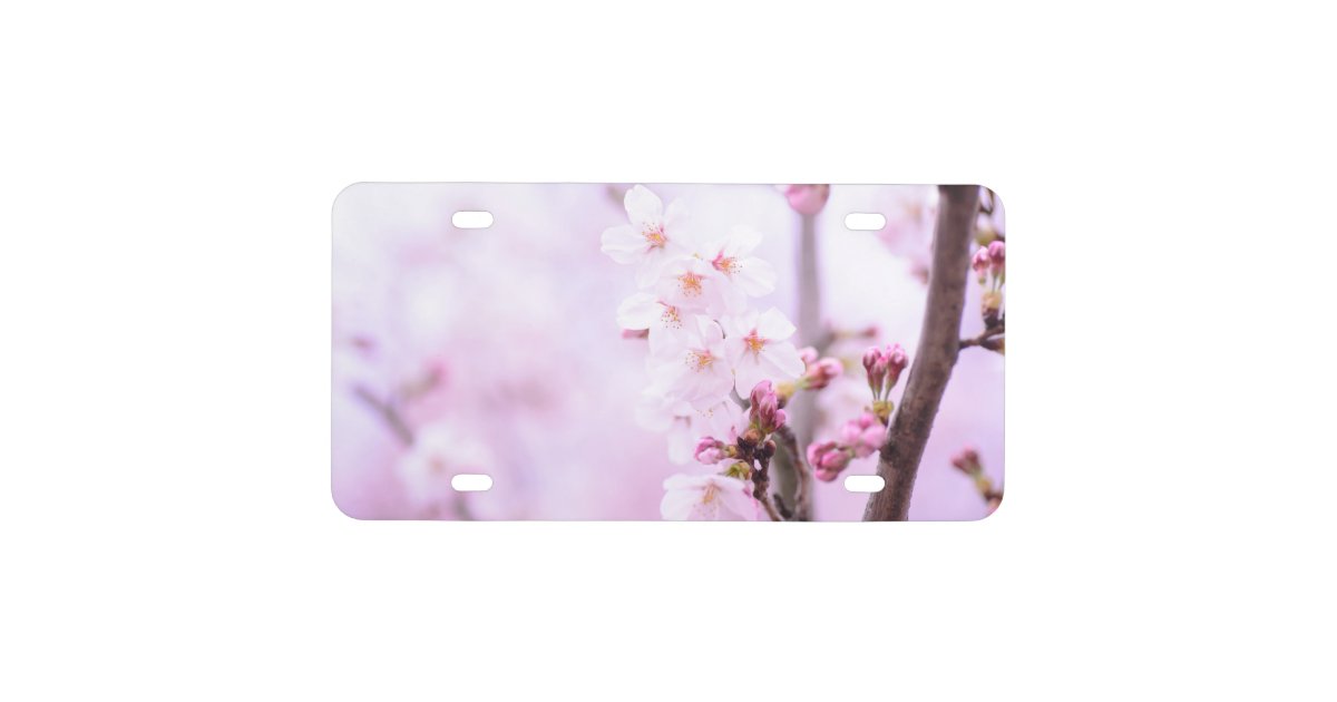 Cherry Blossom License Plate | Zazzle