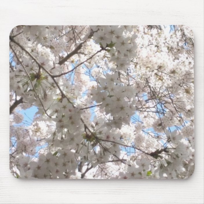 Cherry Blossom Mouse Pad | Zazzle.com